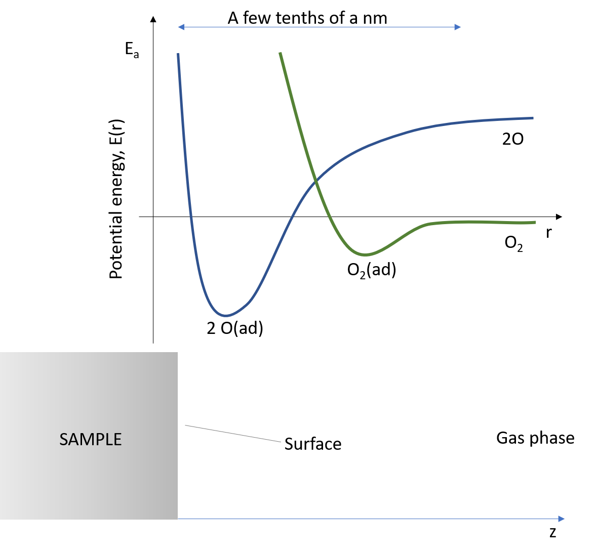 Surface Science - from static to dynamic surface systems